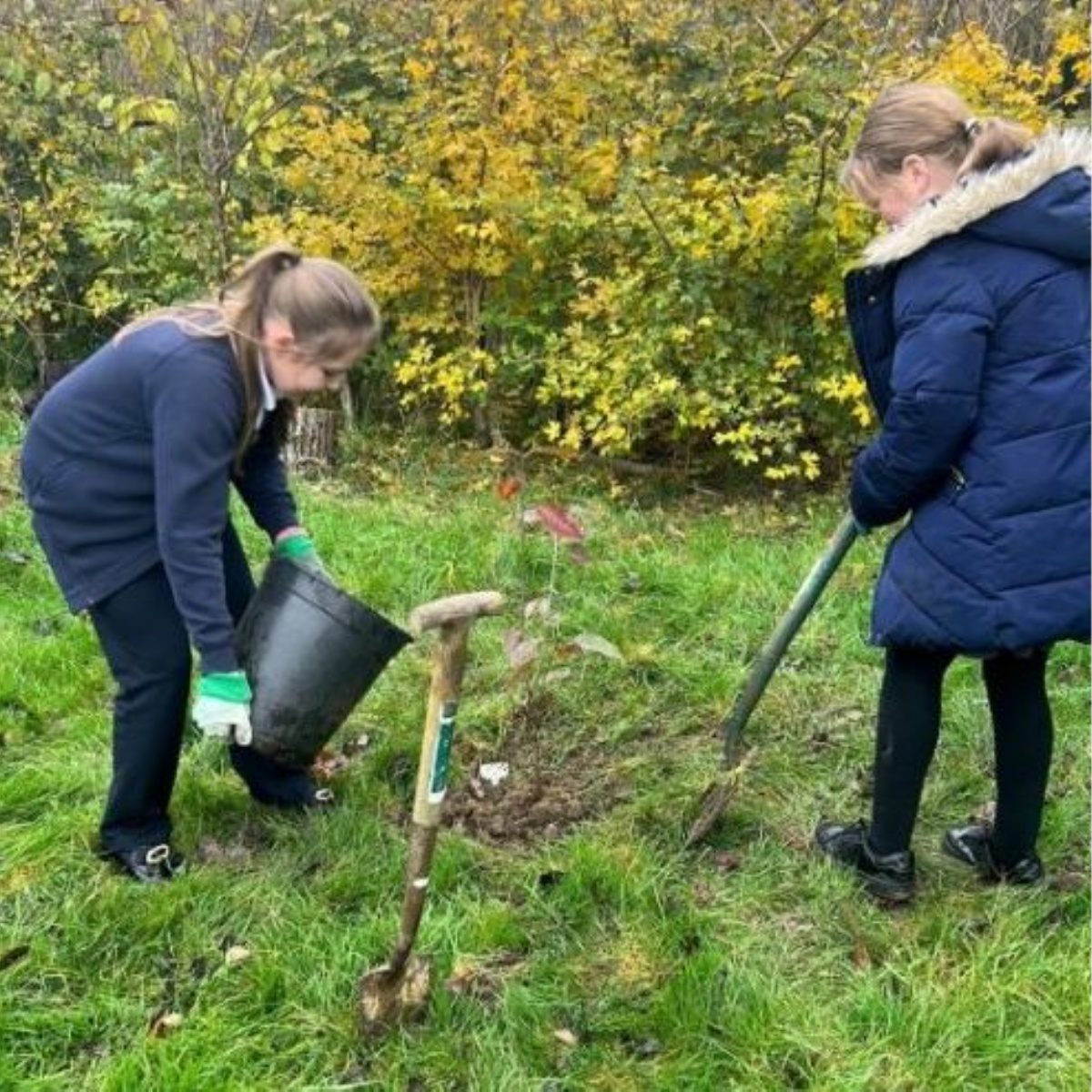 Fawbert & Barnard's Primary School - Tree Planting